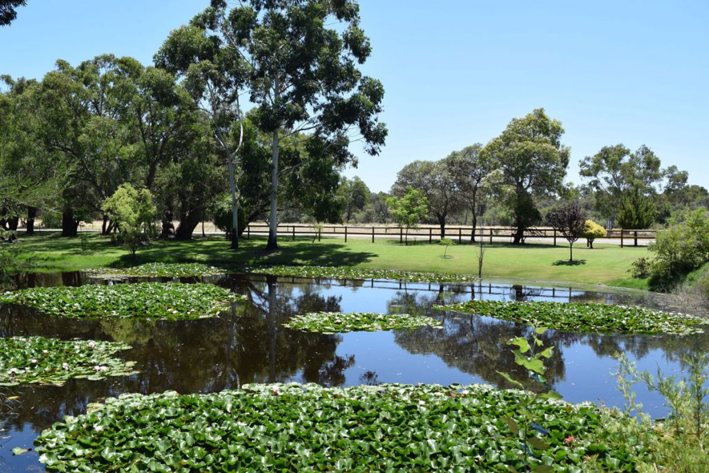 Commercial Landscaping Service | Rockingham, Baldivis & more