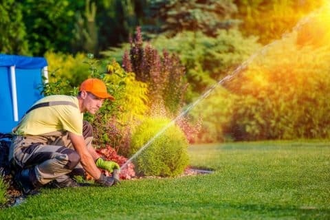 Three Common Signs Your Reticulation Needs Repairing