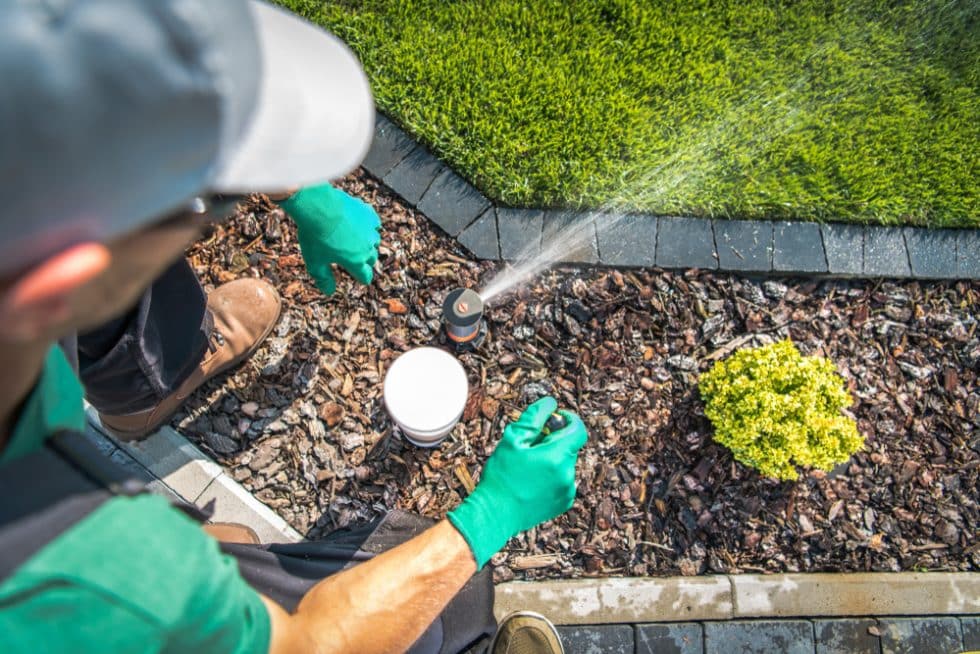 7 Easy Garden Watering & Irrigation Tips | Looking Good Landscaping