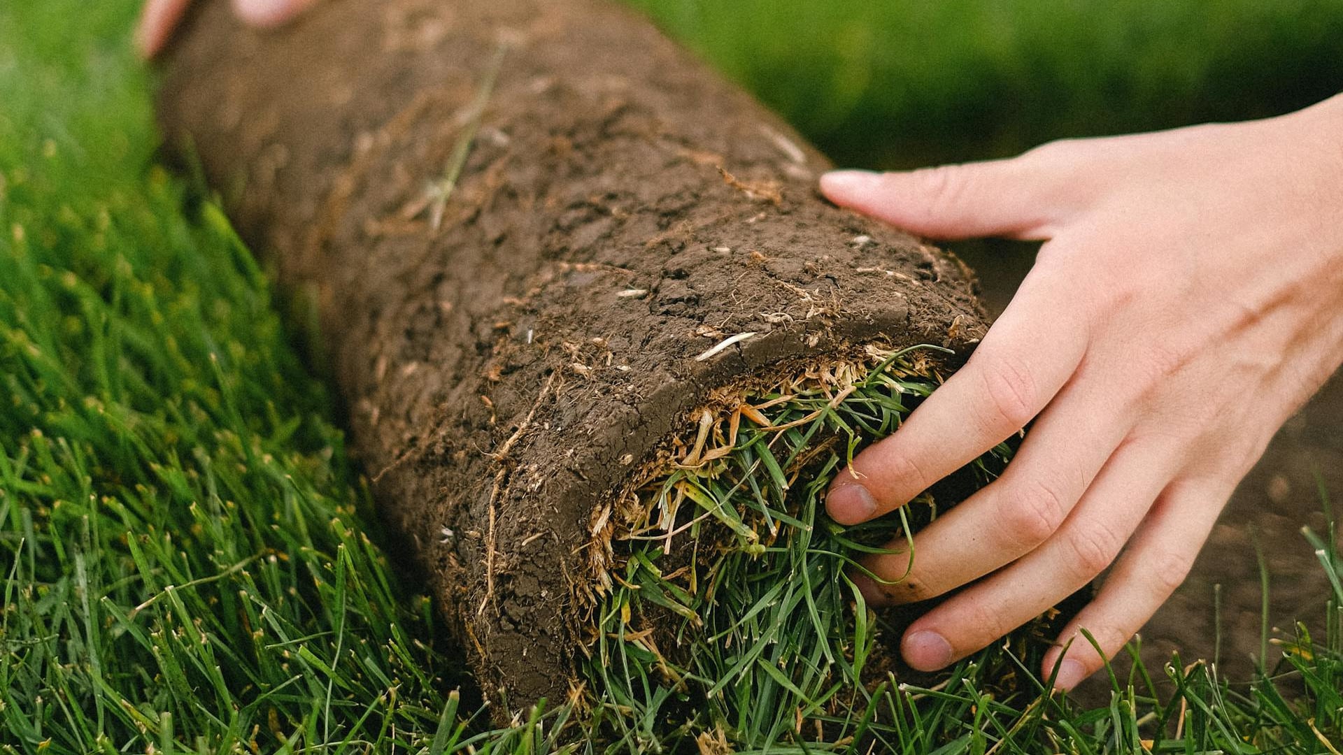 Artificial Grass vs Real Grass | Looking Good Landscaping