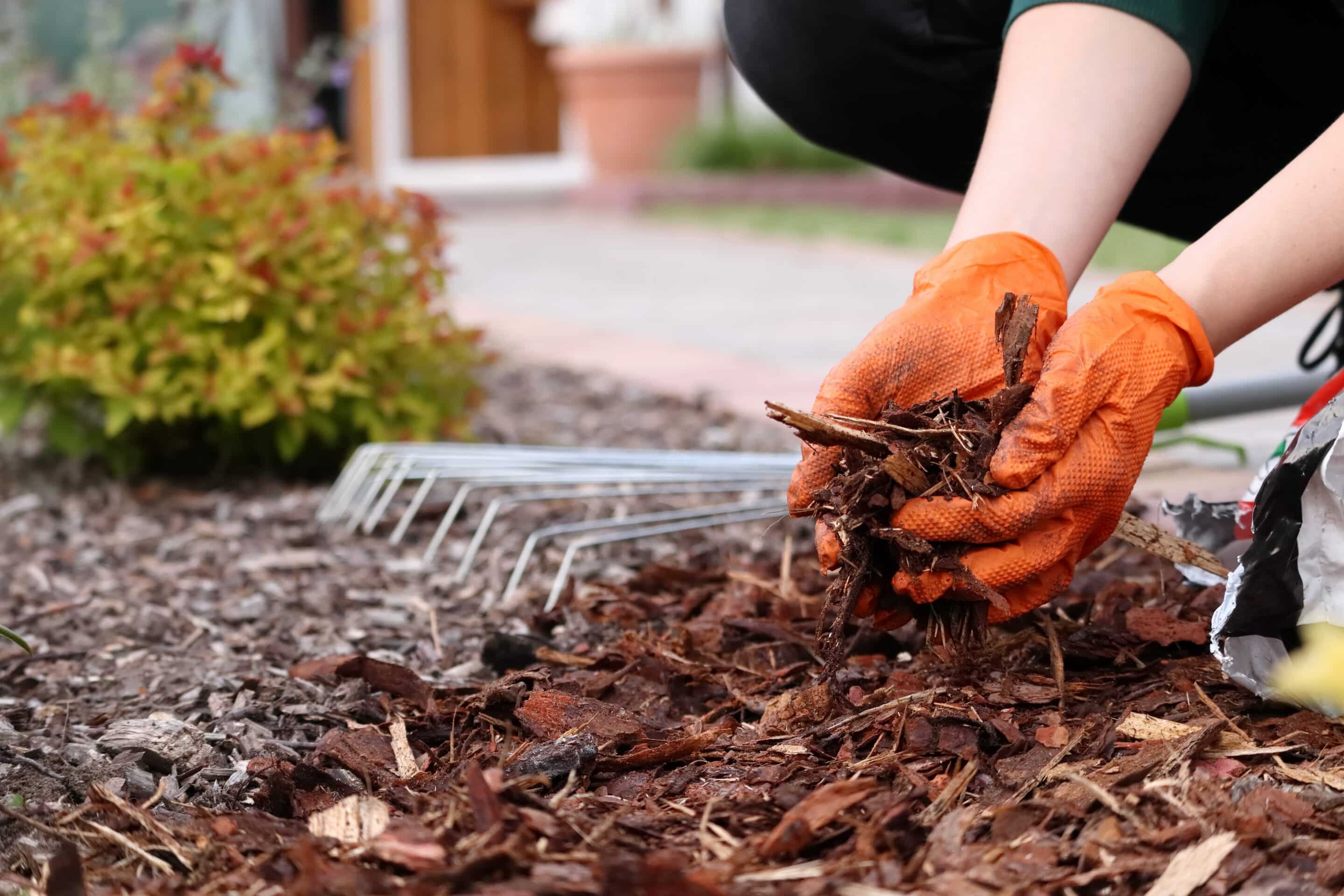 Best Mulch for Your Perth Garden | Looking Good Landscaping